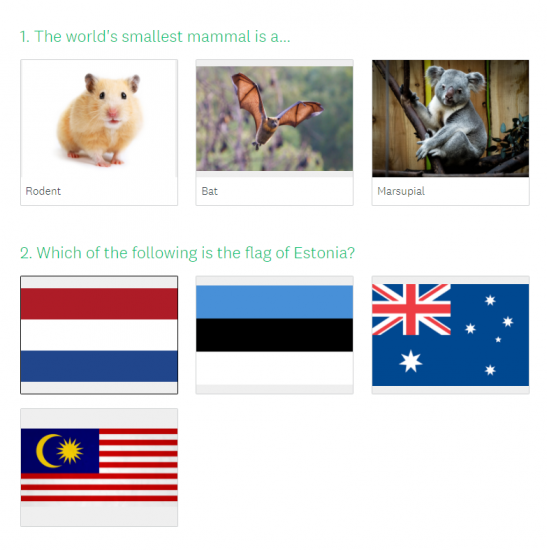 Elevate your free surveys with image answer options | SurveyMonkey