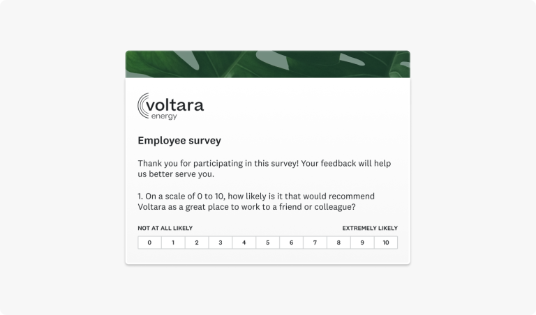 50 NPS Survey Questions With Examples And Templates