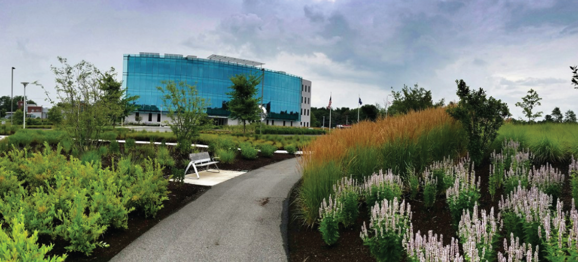 Service CU’s COVID Response Success Story | SurveyMonkey