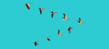 Eliminate Order Bias To Improve Your Survey Responses