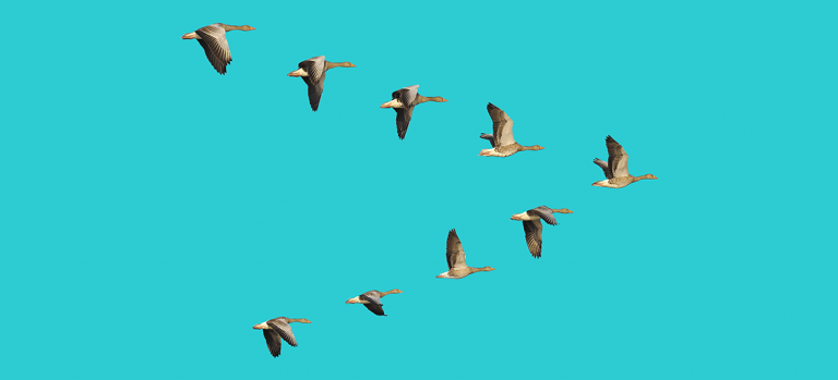 Eliminate Order Bias To Improve Your Survey Responses