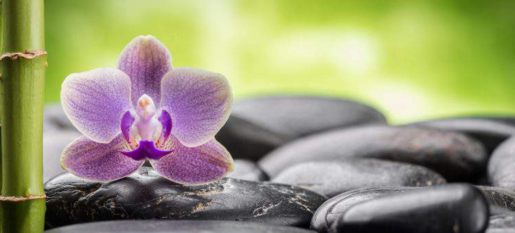 Full Disclosure: How To Add A Privacy Policy To Your Survey And Boost ...