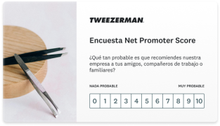 Tweezerman hace crecer su marca a nivel mundial con investigación de ...