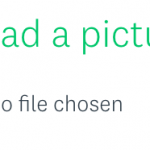 Survey Questions: Free Examples & Question Types | SurveyMonkey